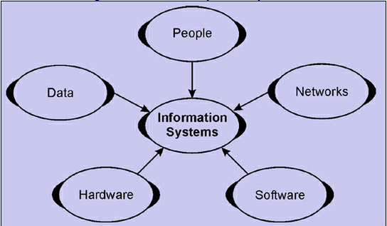 Components Of Information System Assignment Help Fundamentals Of Information Systems